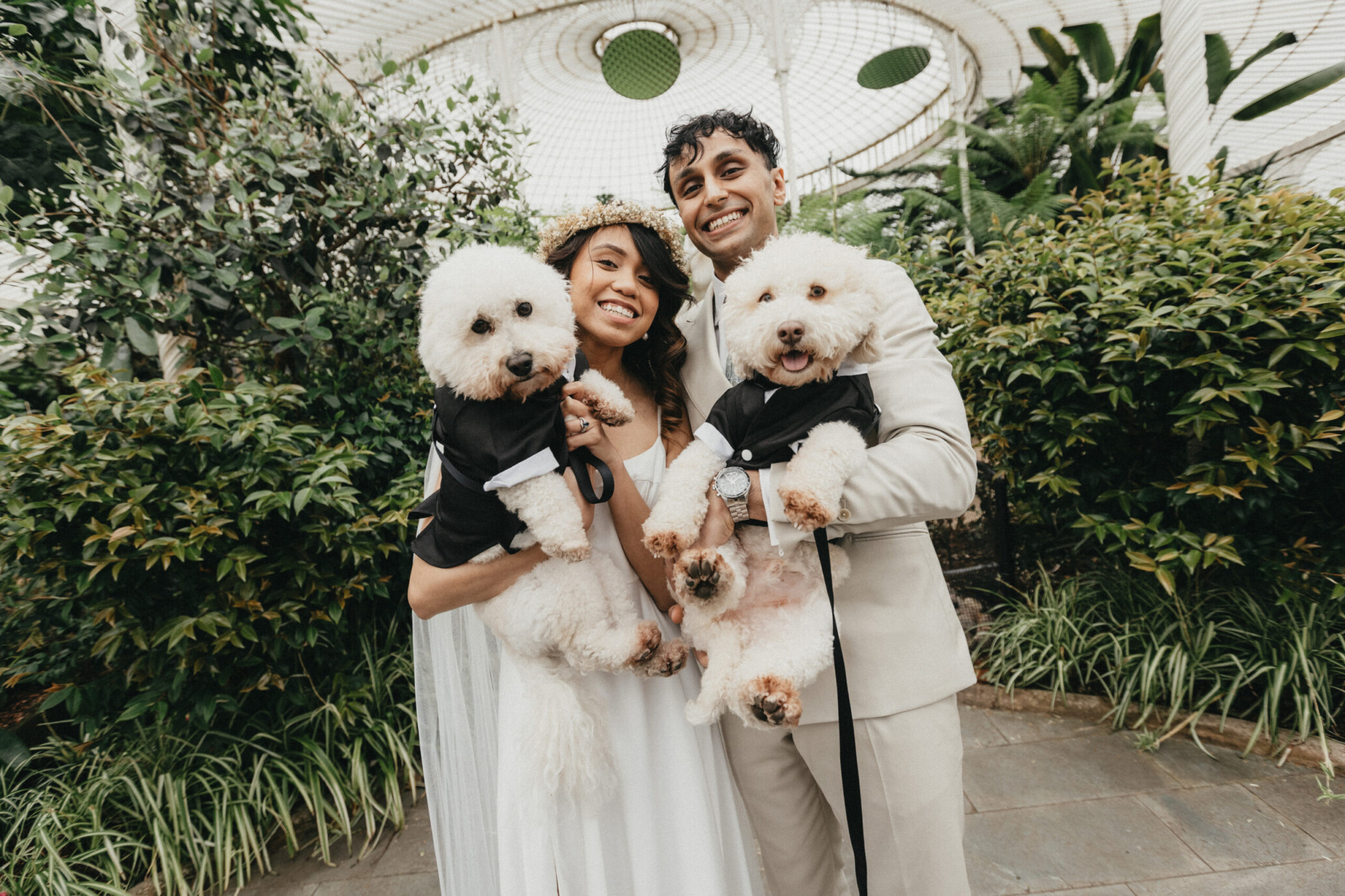 How To Include Pets In Your Wedding: 14 Creative Ways - Big Day Productions